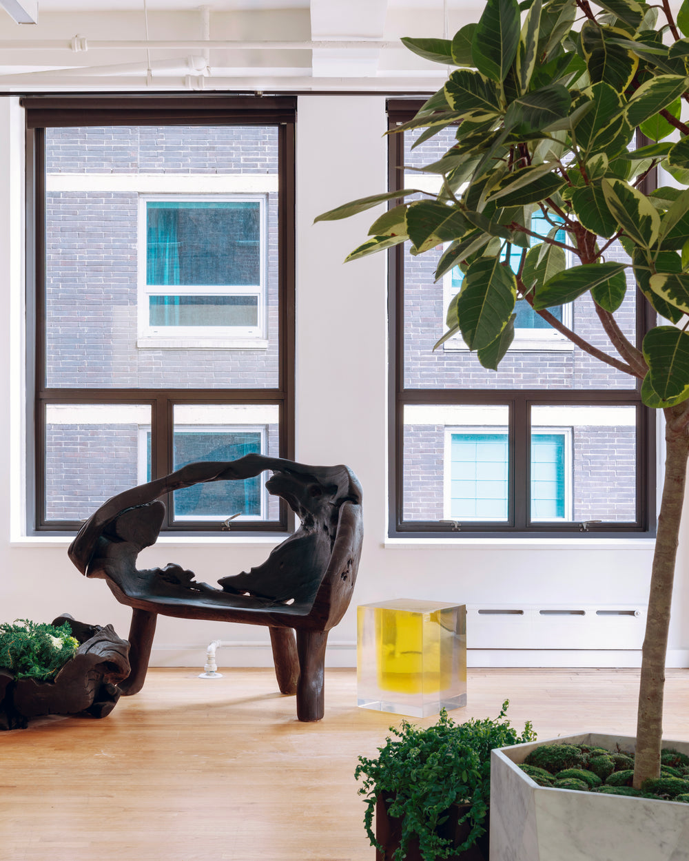 Contact – Rottet Collection